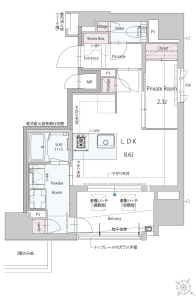 C type | 1LDK - デュレジア平尾レジデンス（仮称）